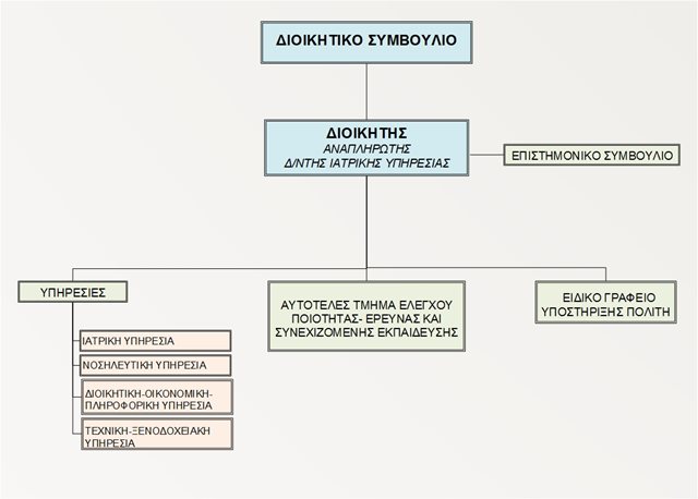Οργανόγραμμα Νοσοκομείου - Γενικό Νοσοκομείο Καβάλας